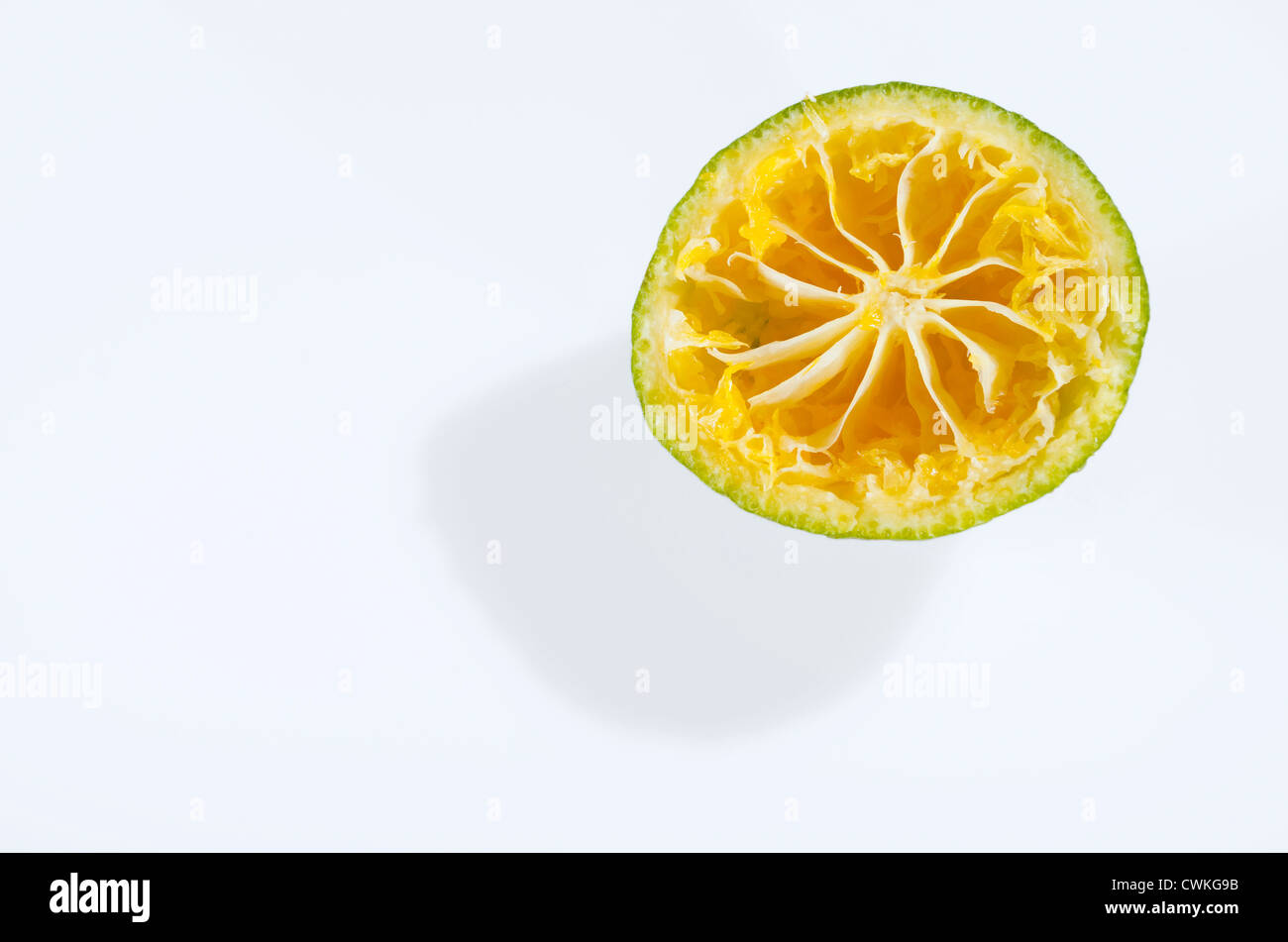 Inner part of rind of freshly squeezed orange Stock Photo - Alamy