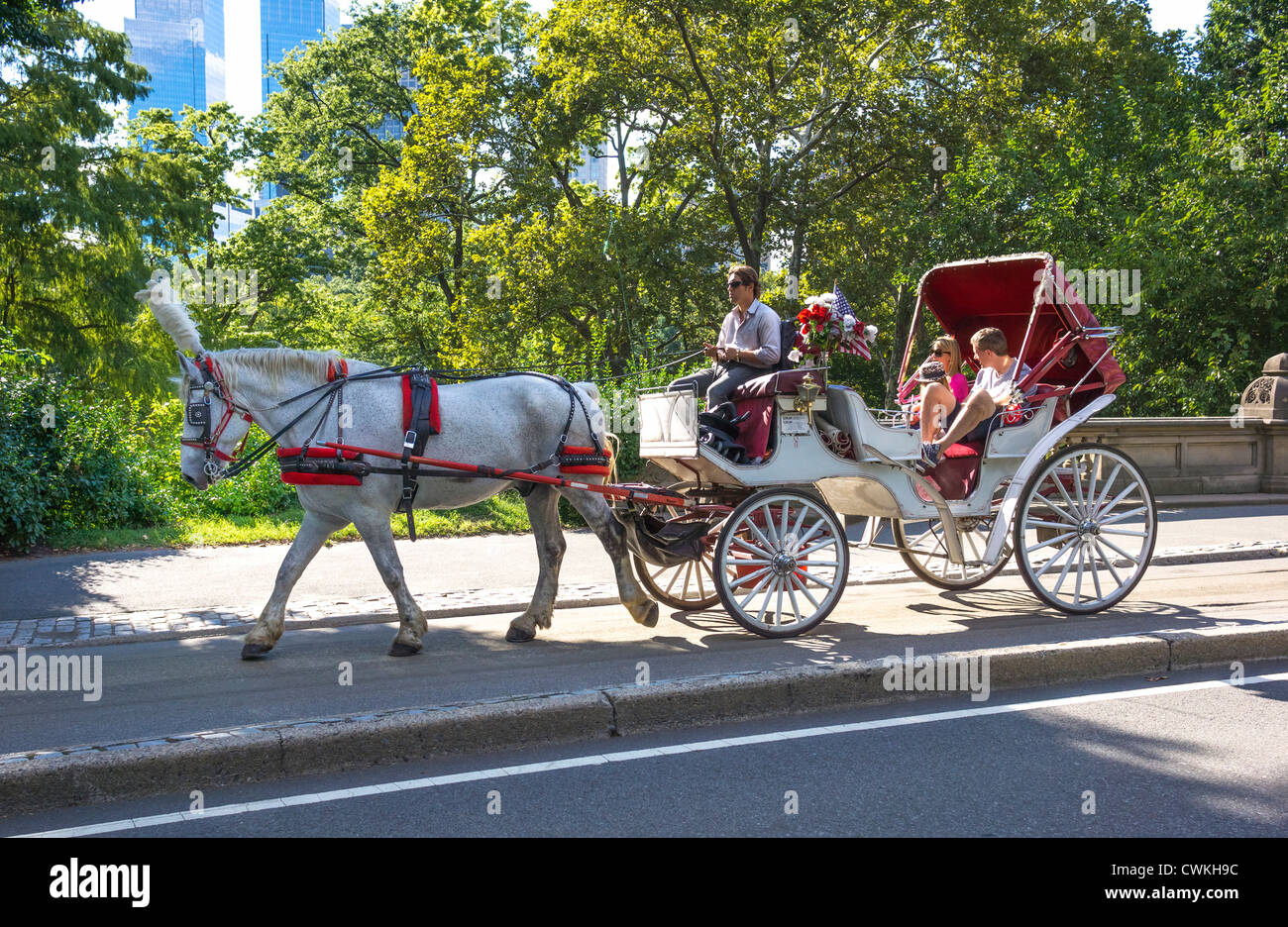 Man driving a white horse and carriage with a family of tourists in ...