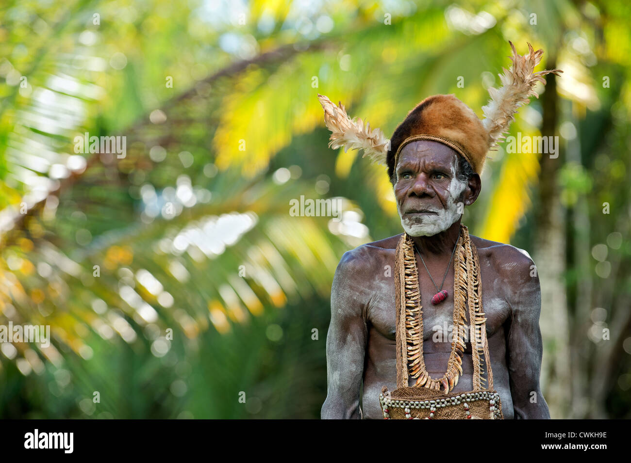 Asmat High Resolution Stock Photography and Images - Alamy