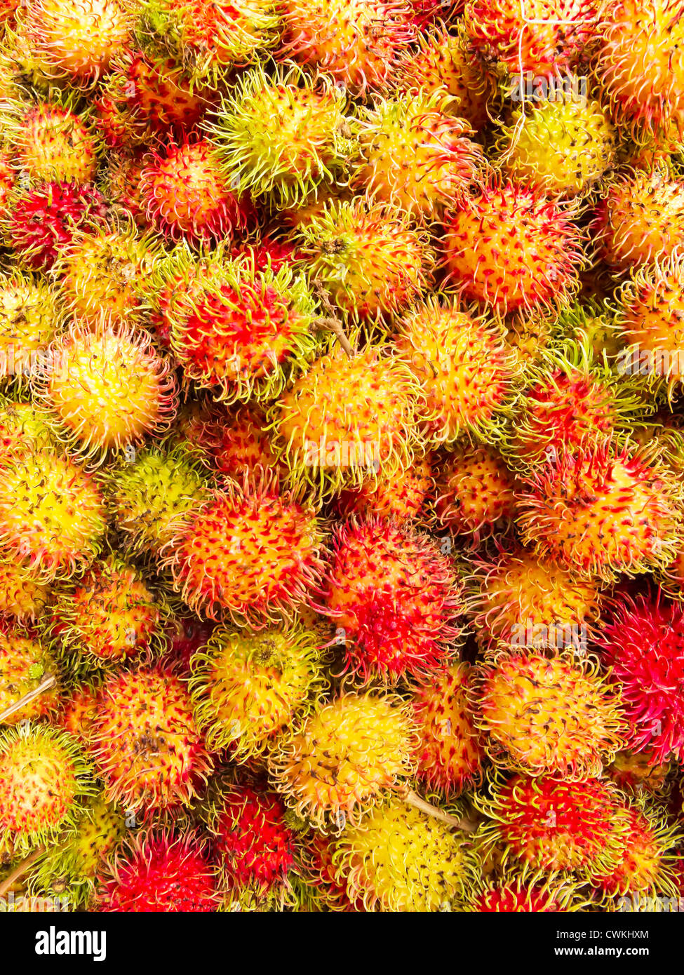 Close up of Rambutan fruits in an Asian market Stock Photo - Alamy