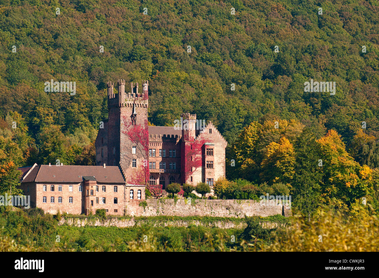The Mittelburg (Middle Castle) and Neckar River, Neckarsteinach ...