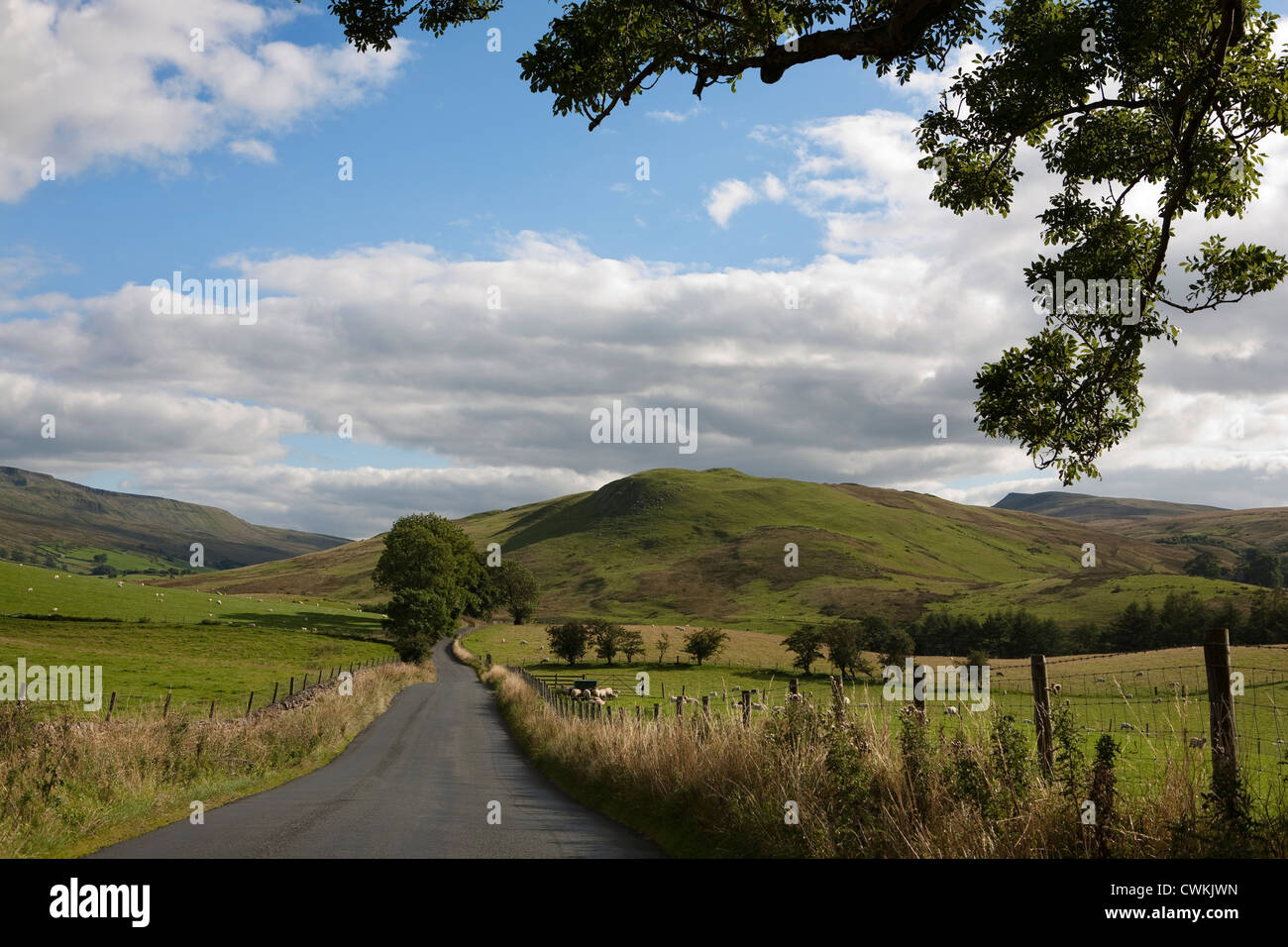 Farm rural landscape near Mallerstang Valley, Pennine Dales and the ...