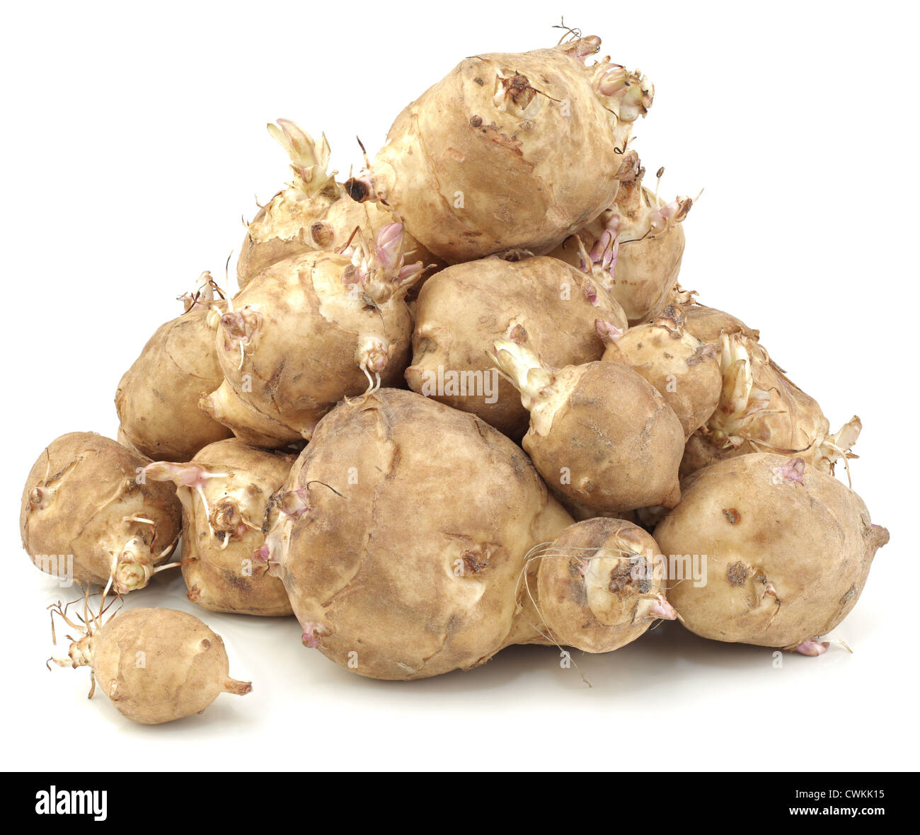 Heap of Sunchoke Vegetable, Helianthus tuberosus Stock Photo - Alamy