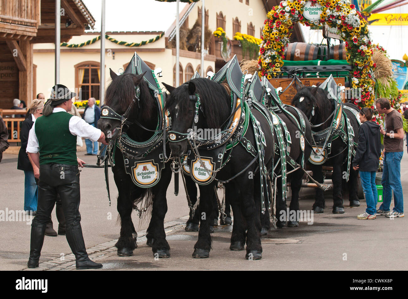 Draft horses at the Stuttgart Beer Festival, Cannstatter Wasen ...