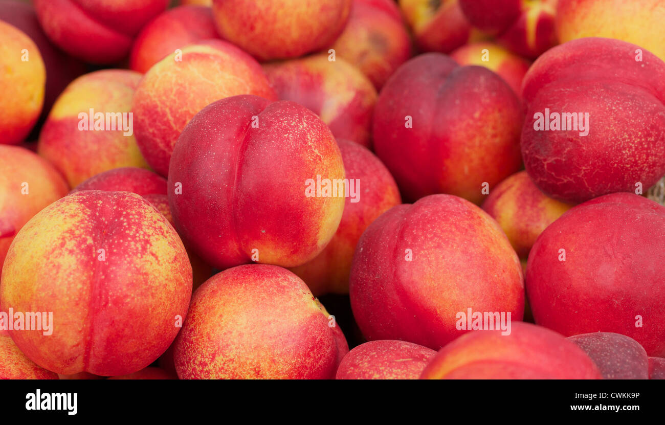 Close up a a single nectarine on a pile of the fruit at softer focus at ...