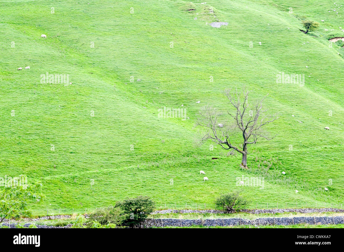 scenic view of sloping hill in the yorkshire dales uk Stock Photo - Alamy