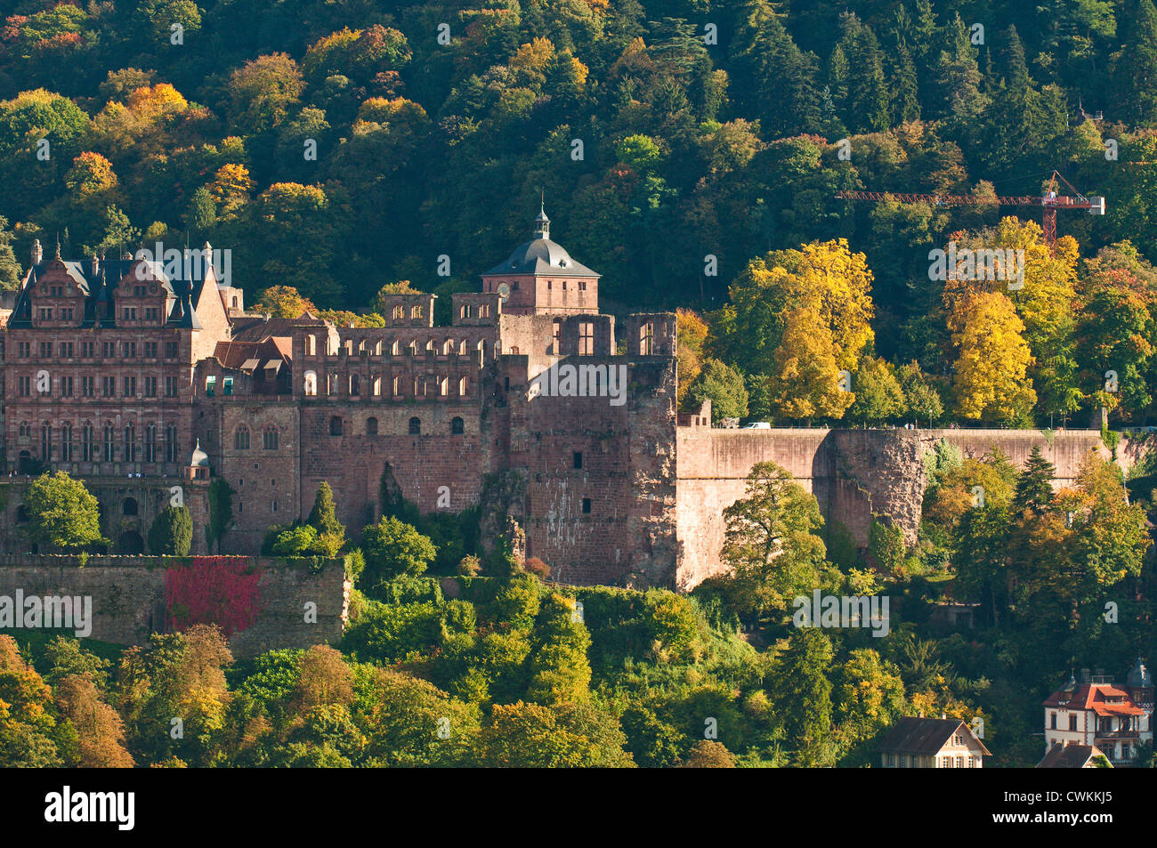 View of Heidelberg's Old Town and Heidelberg Castle from the ...
