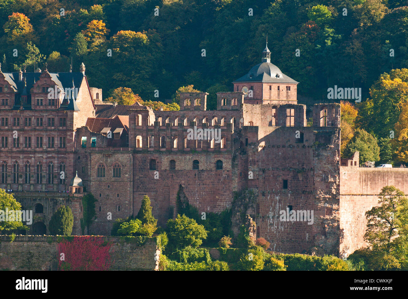 View of Heidelberg's Old Town and Heidelberg Castle from the ...