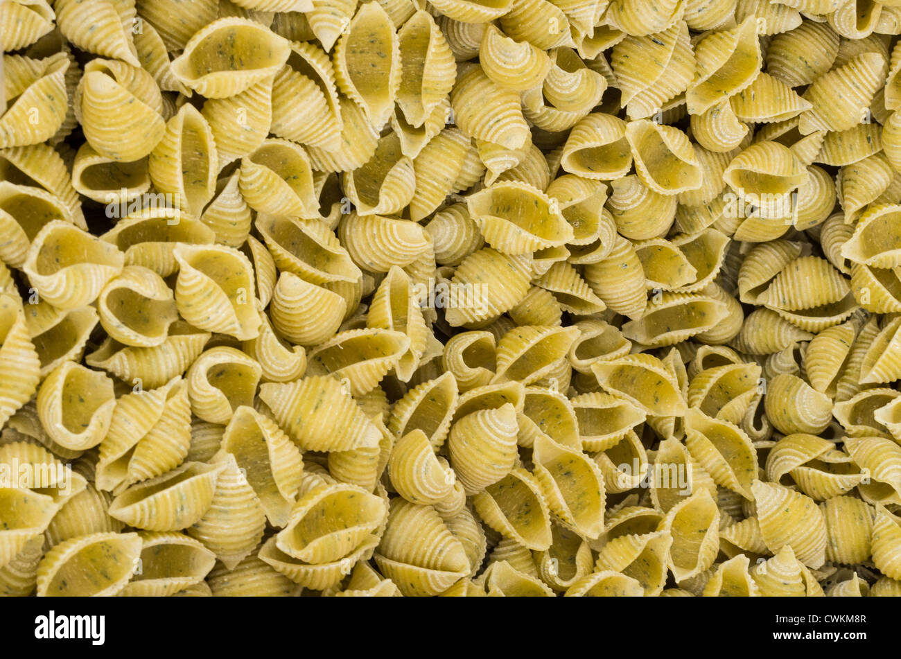 Dried pasta shells hi-res stock photography and images - Alamy