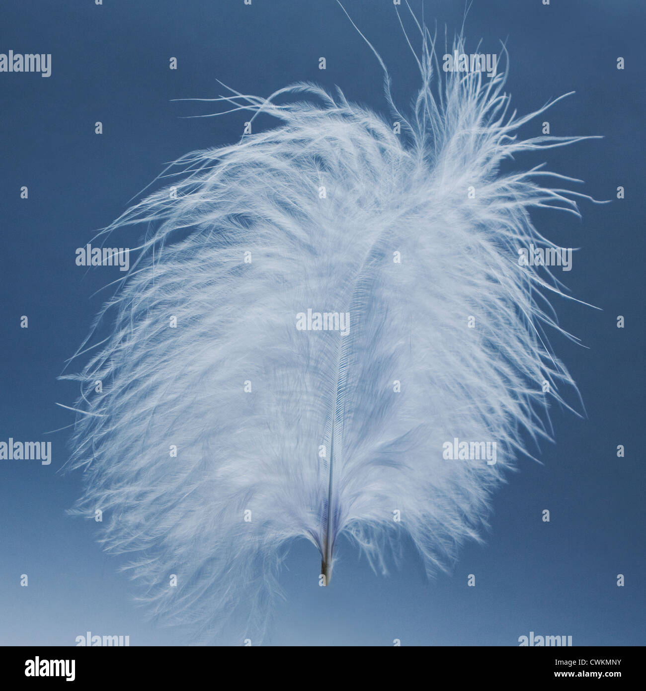 Feather Bed High Resolution Stock Photography and Images - Alamy