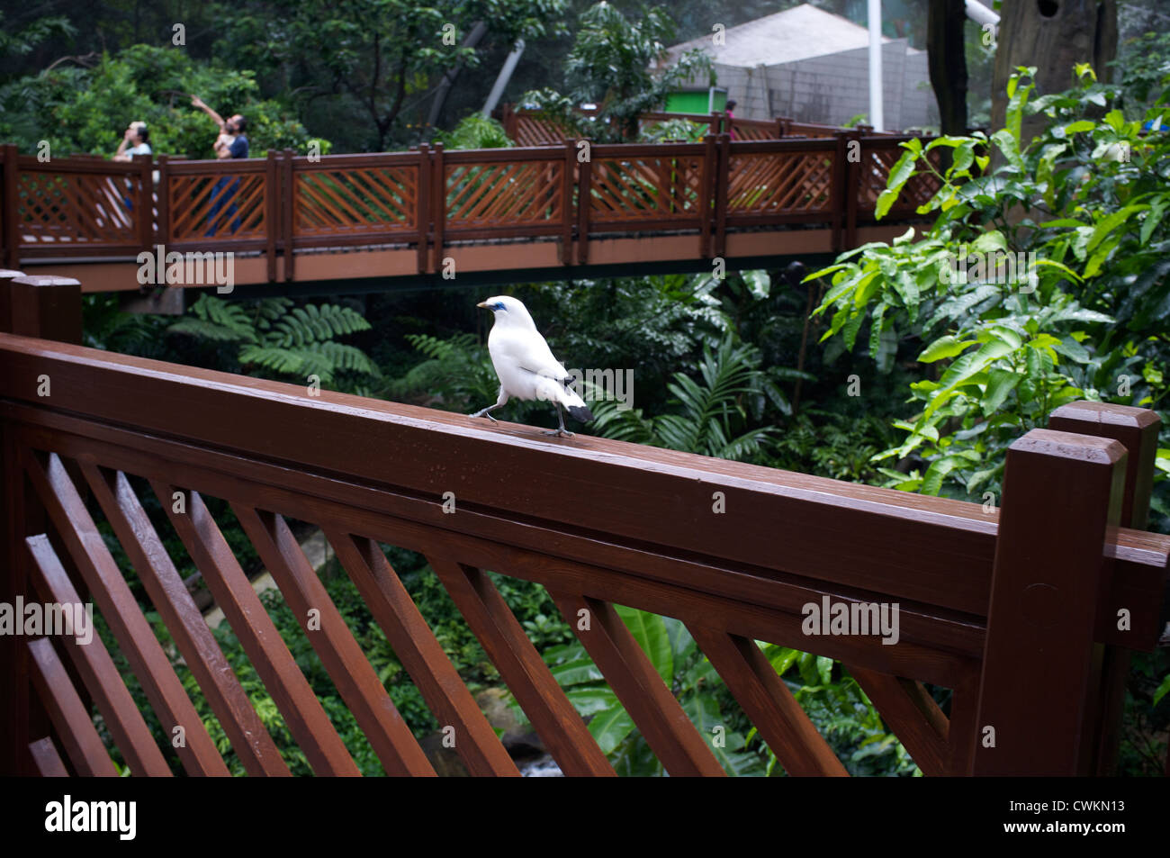 Edward youde aviary hi-res stock photography and images - Alamy