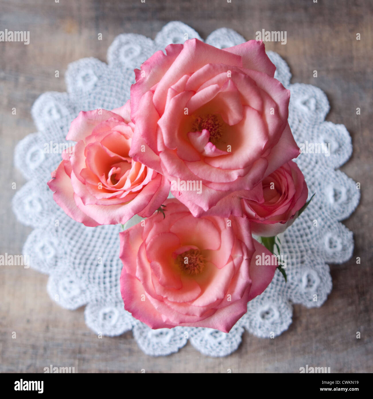 roses on a table with decoration, shabby chic Stock Photo - Alamy
