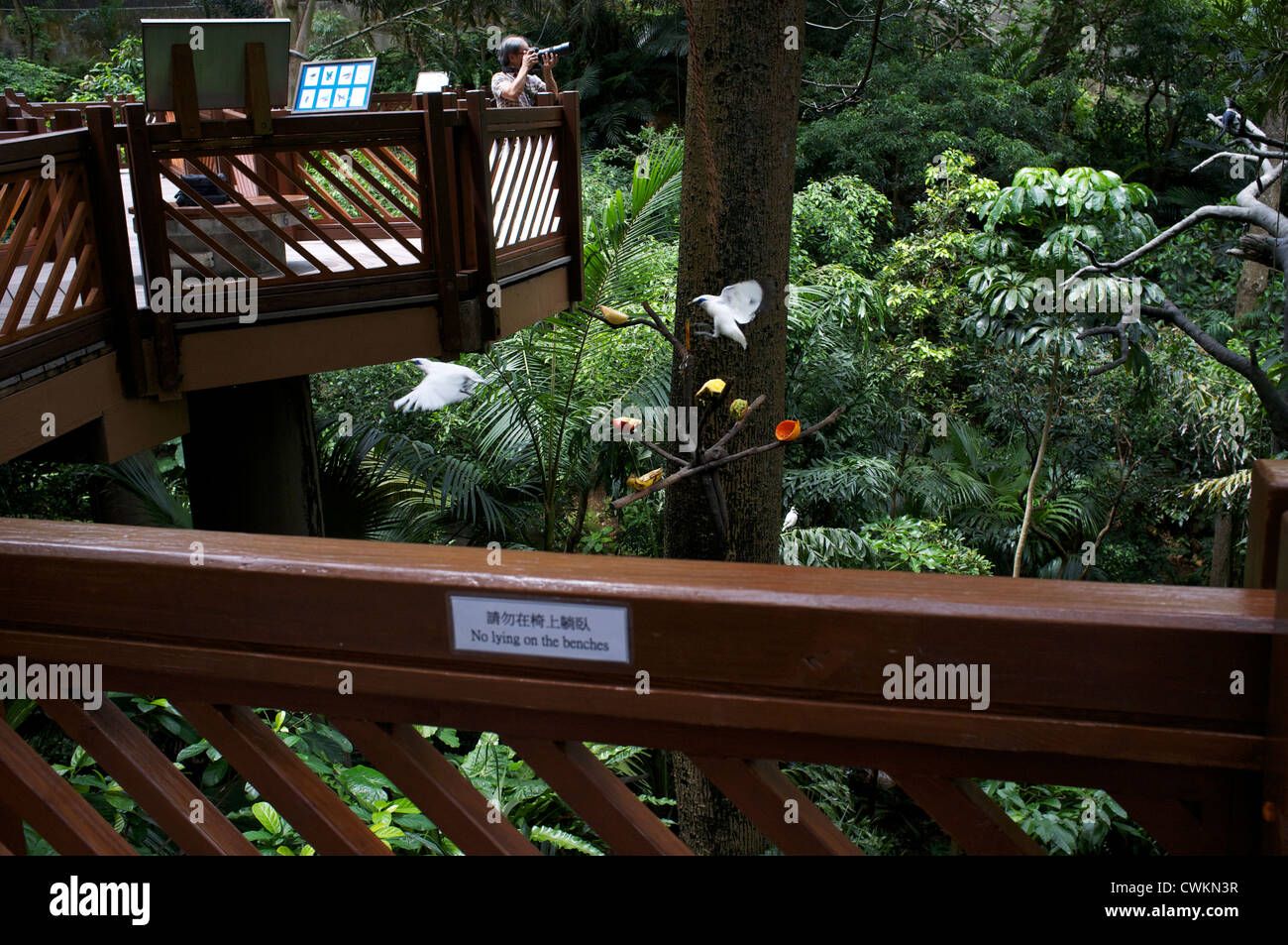 The Edward Youde Aviary of Hong Kong Park Stock Photo - Alamy