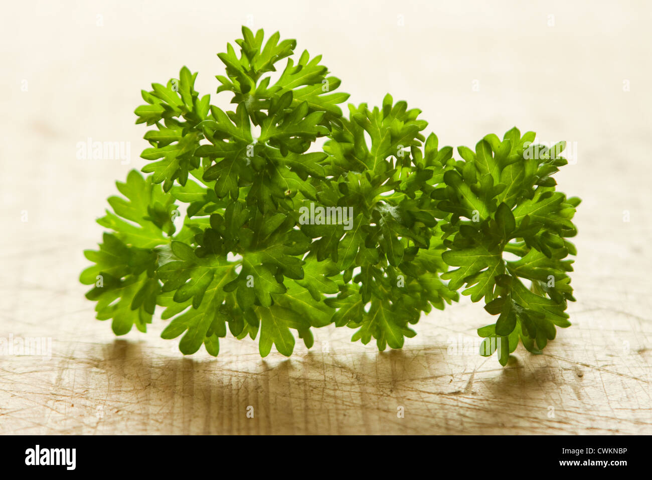 some parsley in the kitchen Stock Photo - Alamy