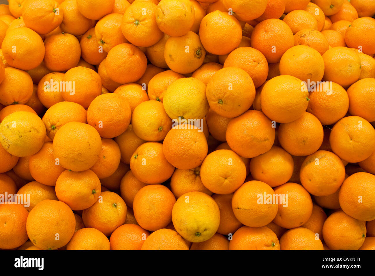lot of oranges at the supermarket Stock Photo - Alamy