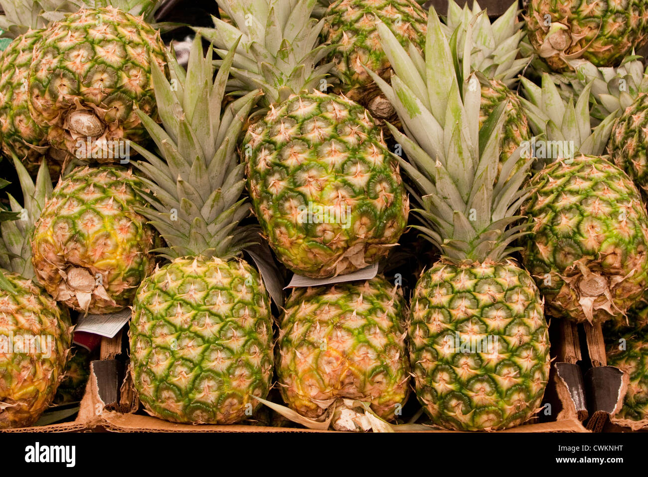 fresh pineapples at the supermarket Stock Photo - Alamy