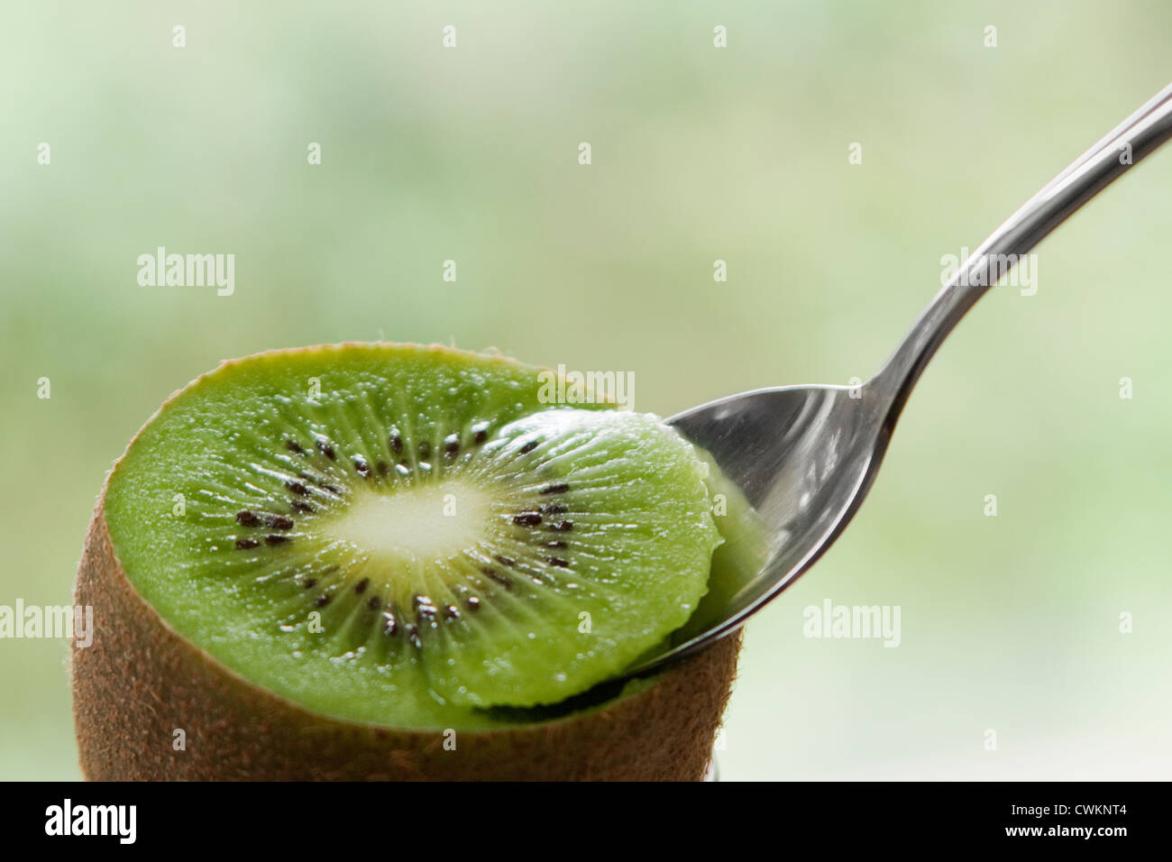 fresh, green kiwi fruit close up Stock Photo - Alamy