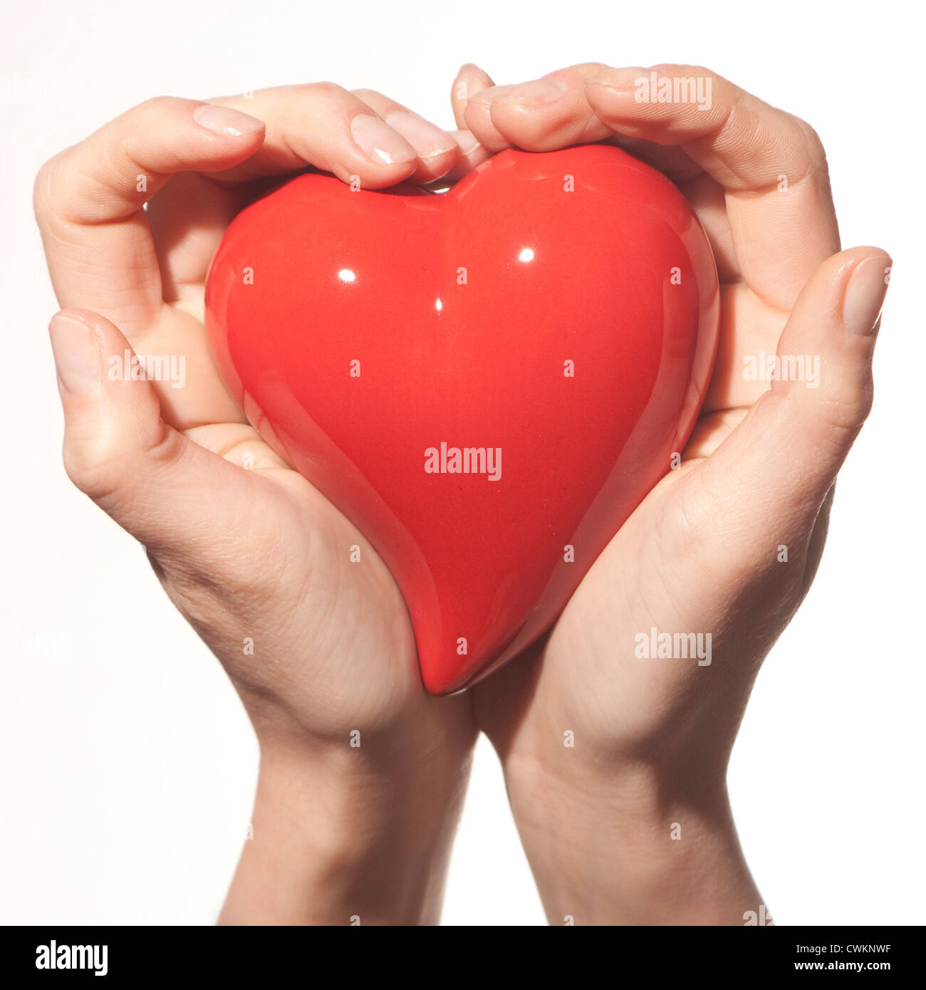 Enclose hands hi-res stock photography and images - Alamy