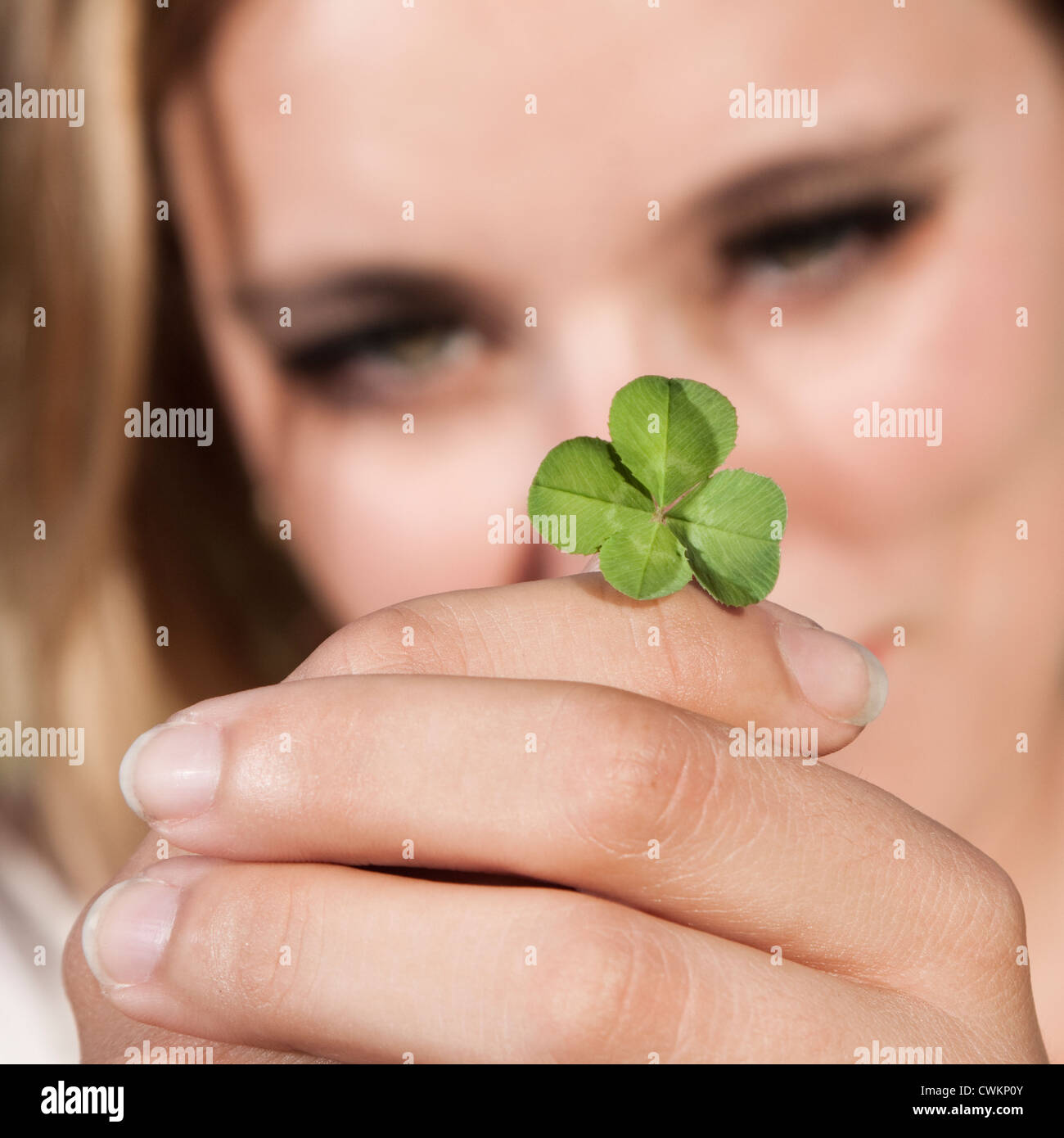 4 leafed clover hi-res stock photography and images - Alamy