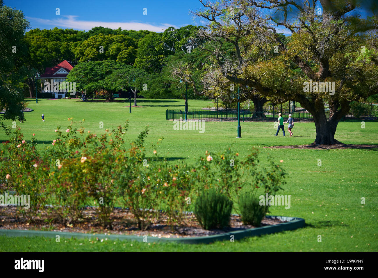 New Farm Park, Brisbane Queensland Australia Stock Photo - Alamy