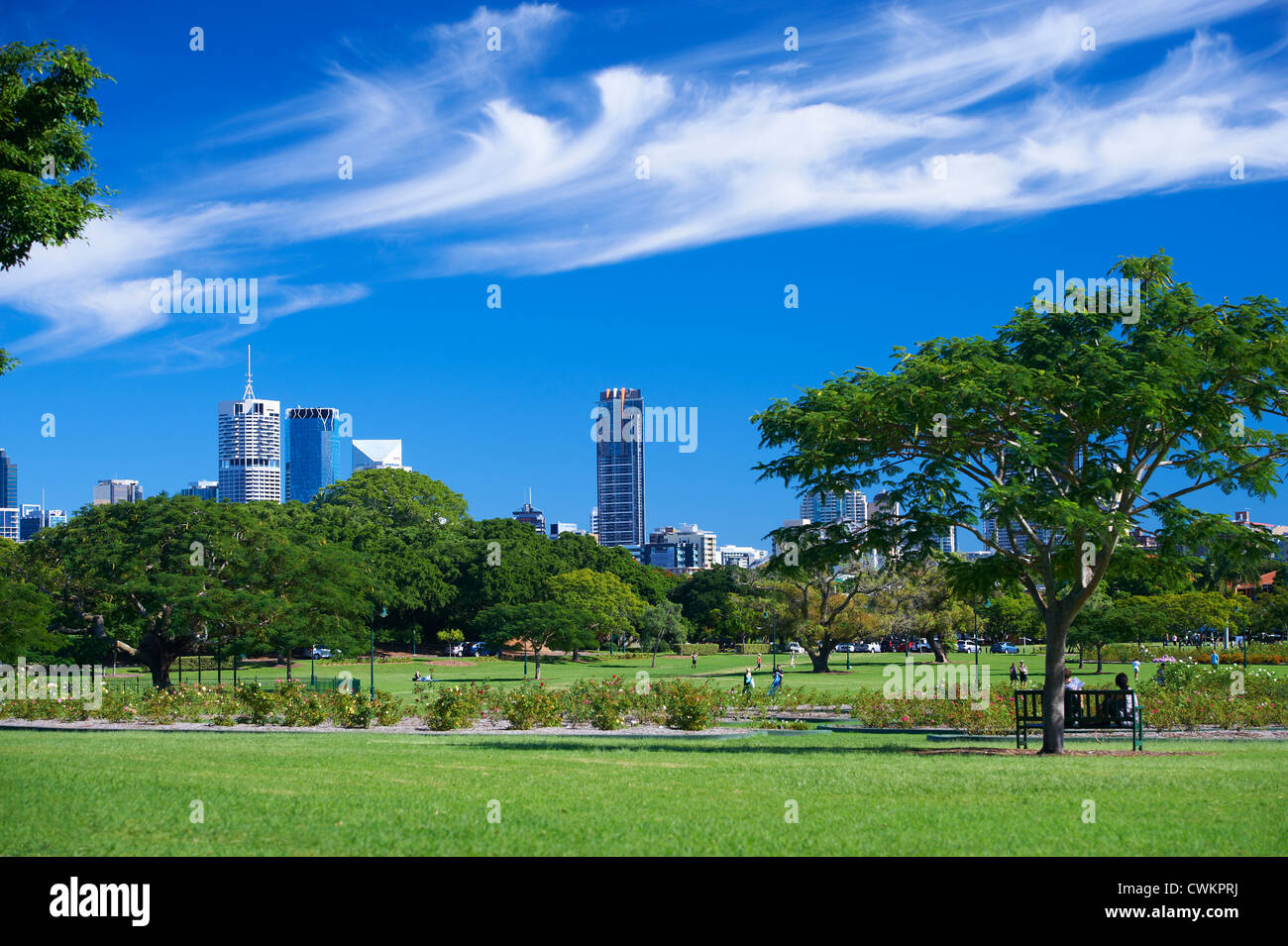 New Farm Park, Brisbane Queensland Australia Stock Photo - Alamy