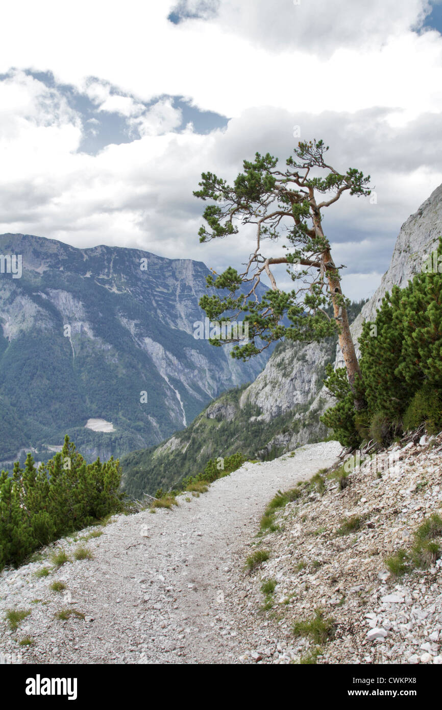 Tennen mountains hi-res stock photography and images - Alamy