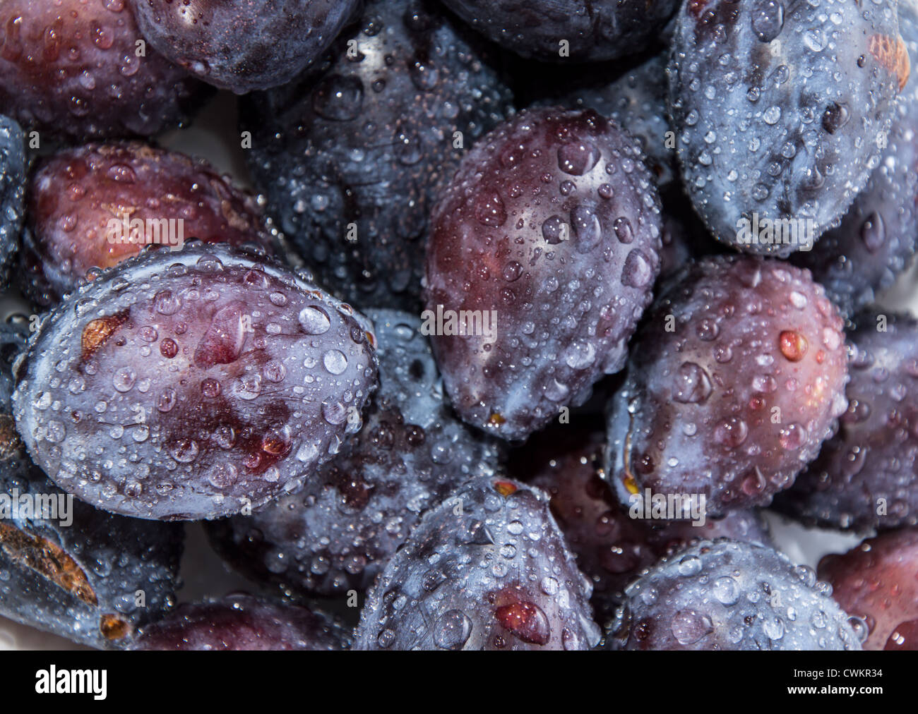Water plums hi-res stock photography and images - Alamy