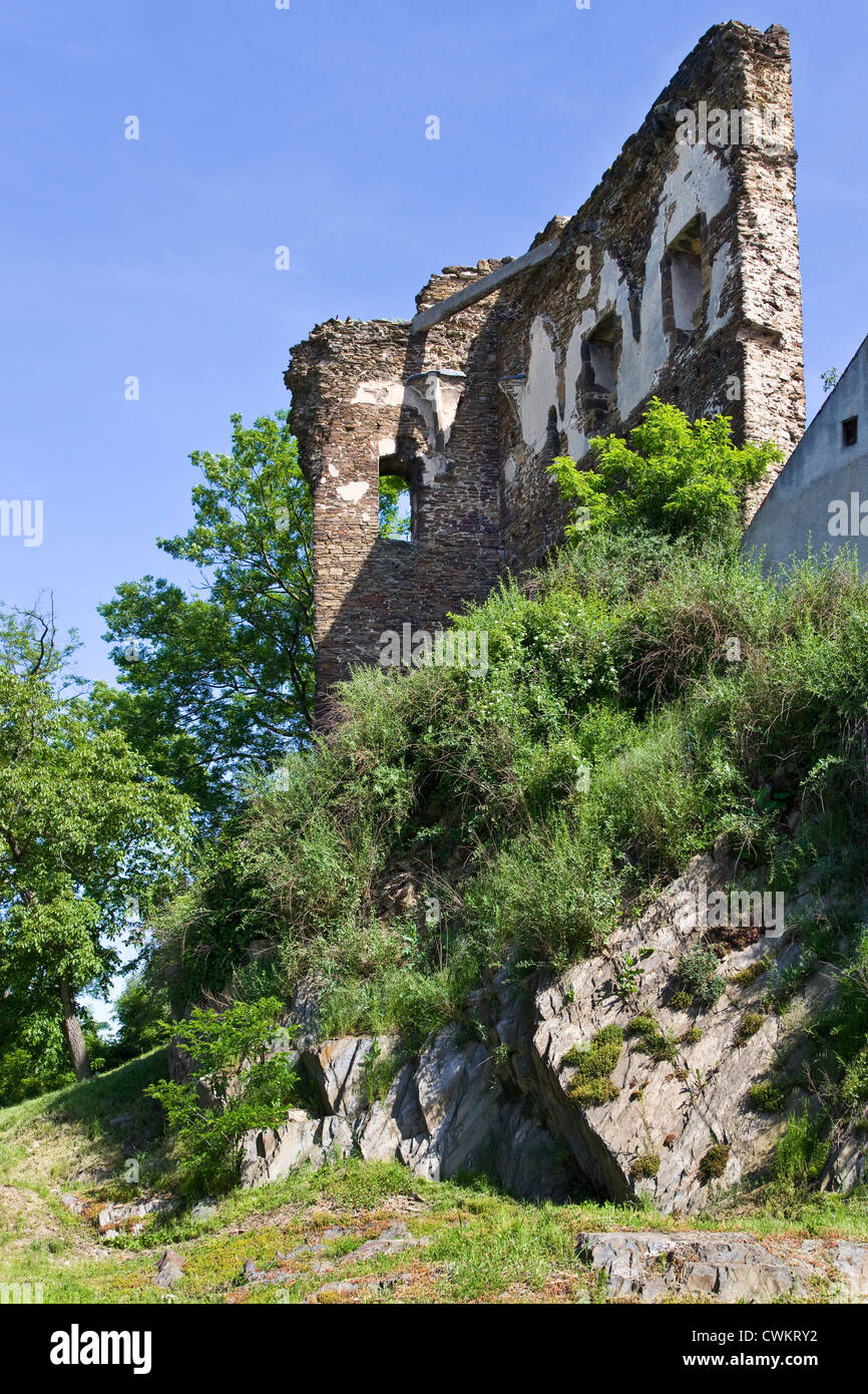 Ricany hi-res stock photography and images - Alamy