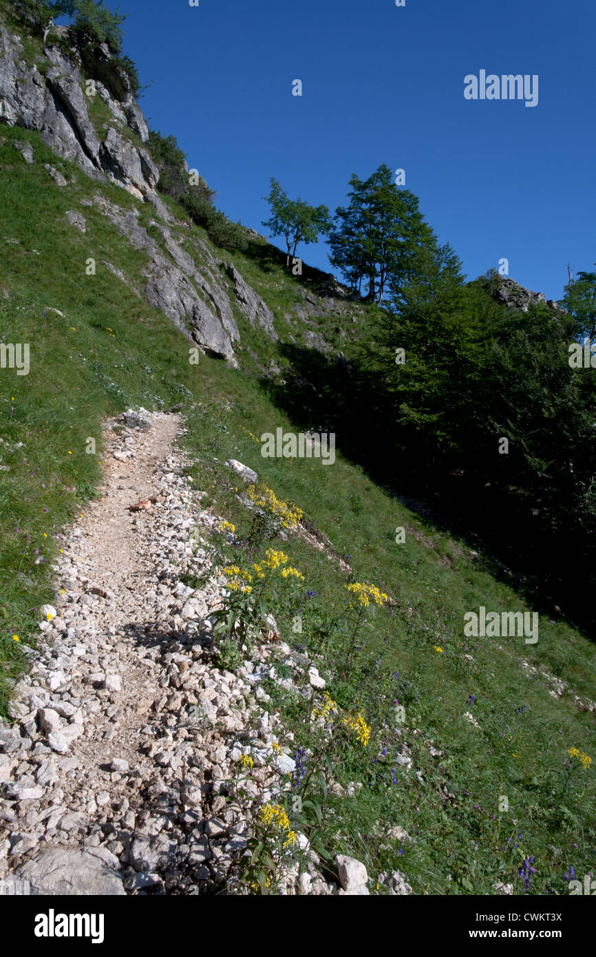 Mountain path on the Untersberg near Salzburg in the Austrian alps ...