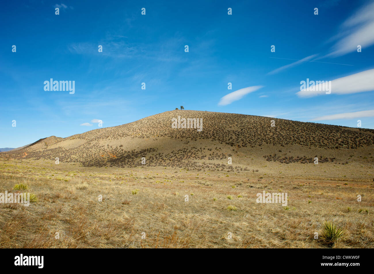 This is a shot from the Devil's Backbone open space in Loveland, CO ...