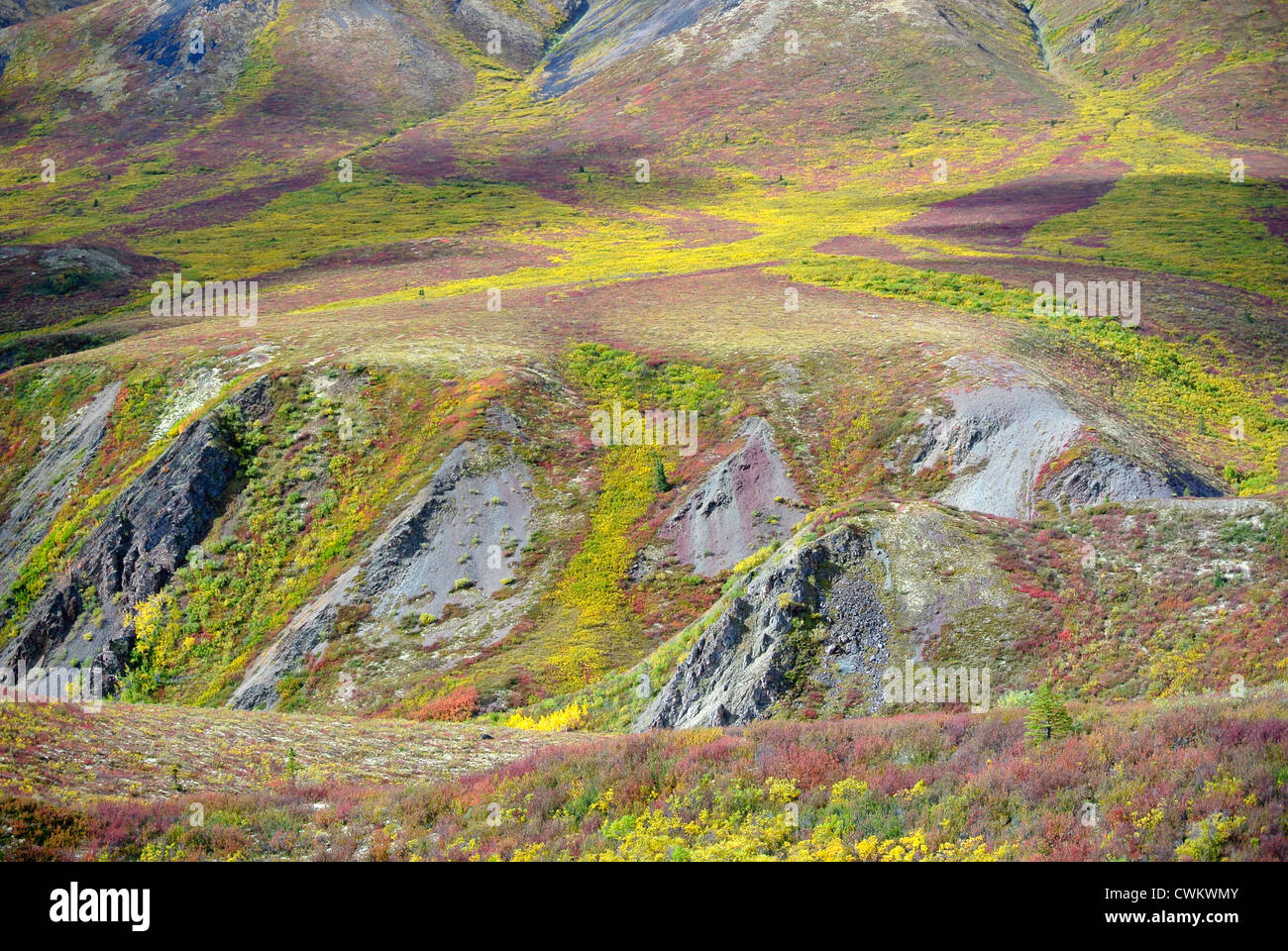 Yukon in the fall hi-res stock photography and images - Alamy