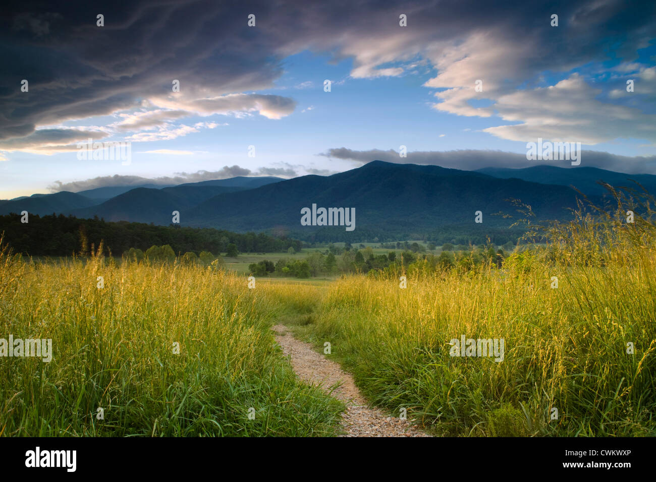 Path to the Mountains Stock Photo - Alamy