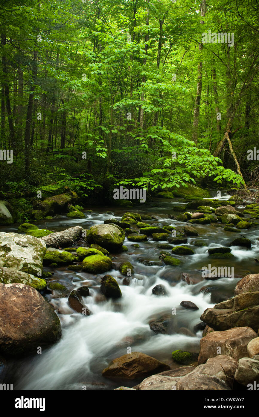 Roaring mountain hi-res stock photography and images - Alamy