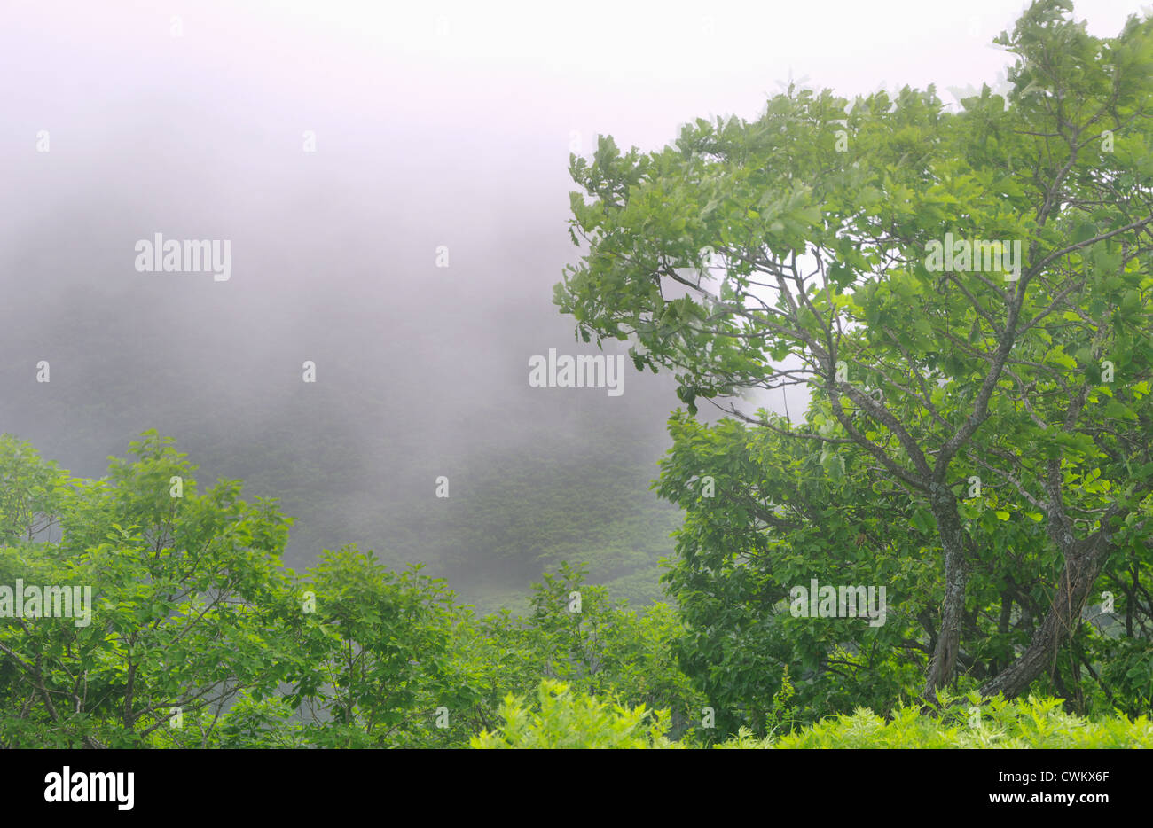Hiking gathering hi-res stock photography and images - Alamy