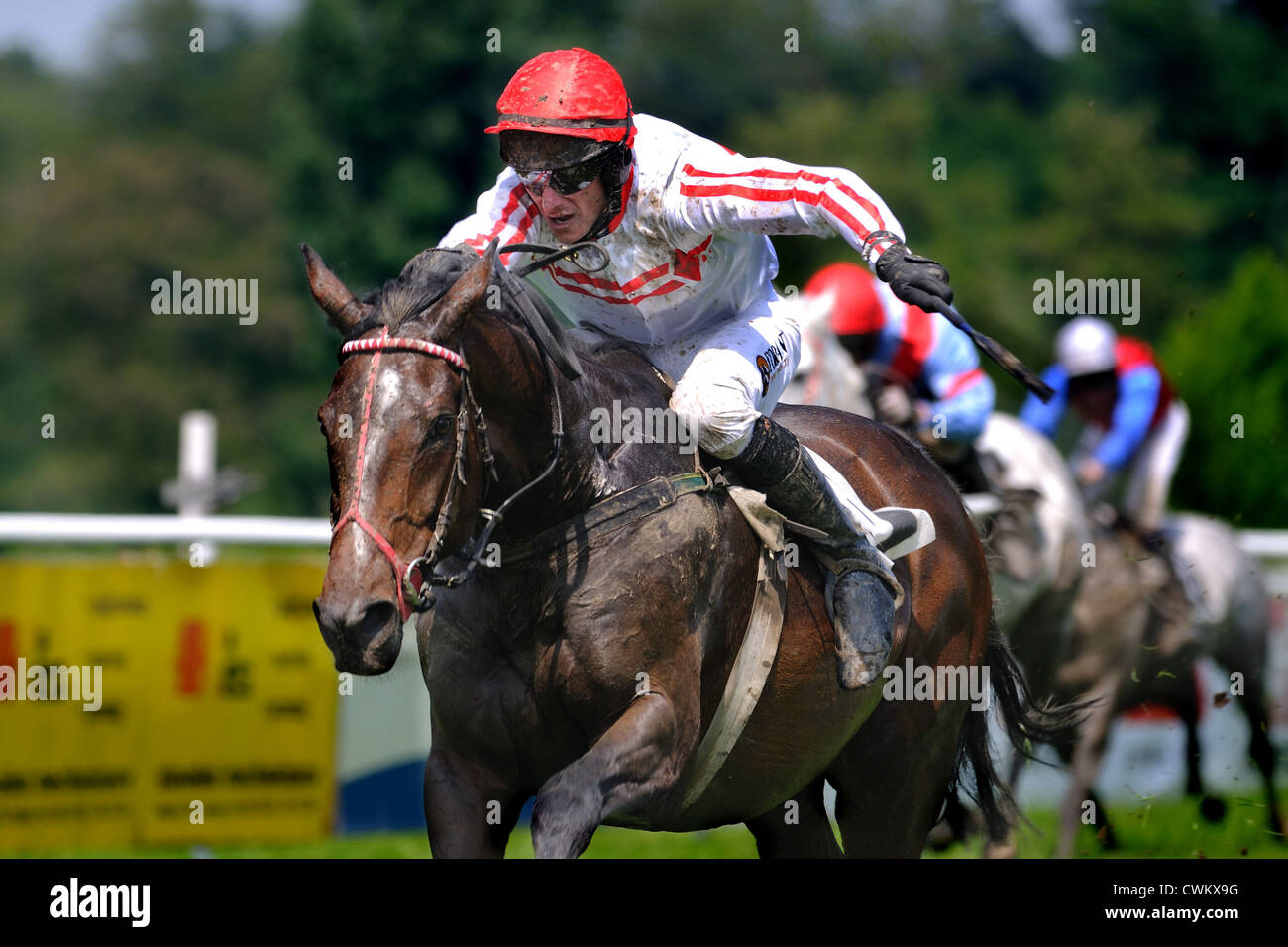 Horse racing background hi-res stock photography and images - Alamy