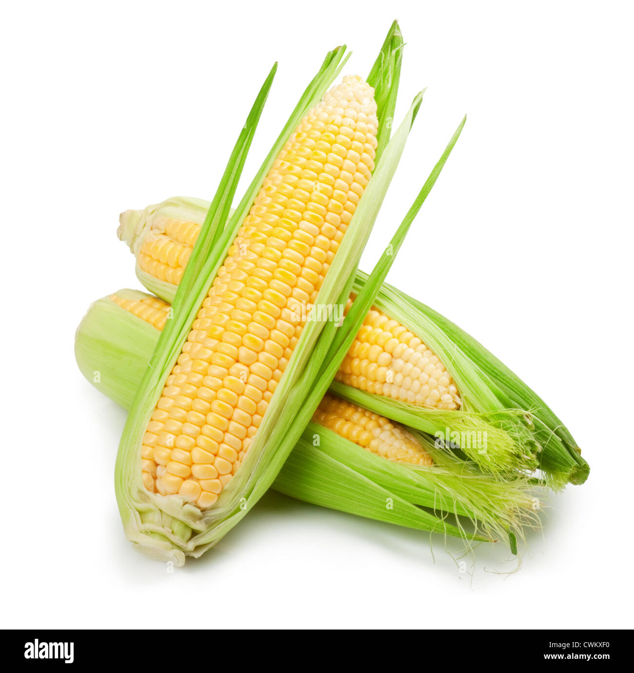 fresh corn fruits with green leaves isolated on white background Stock ...