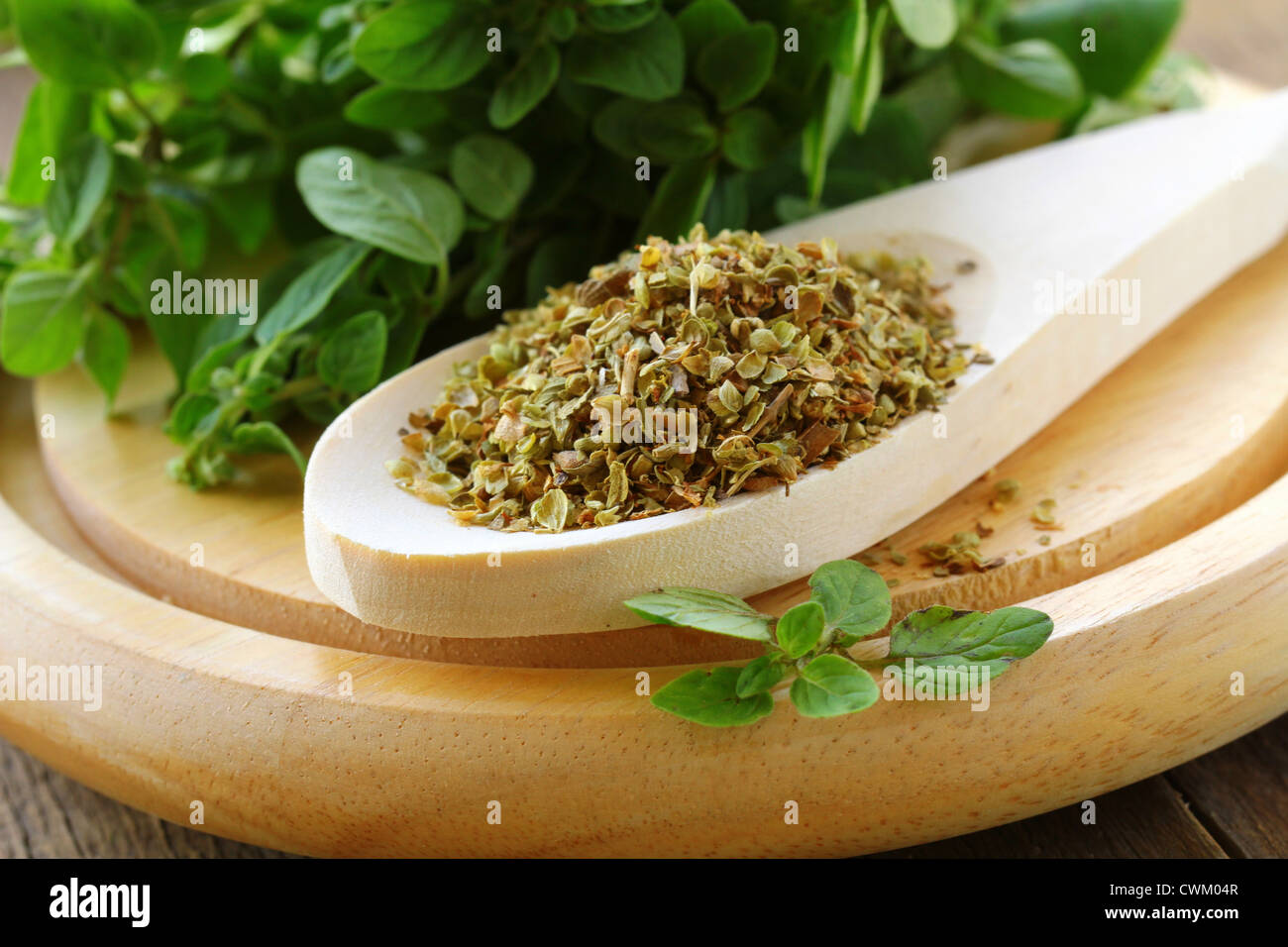 green fresh oregano - herb spice Stock Photo - Alamy