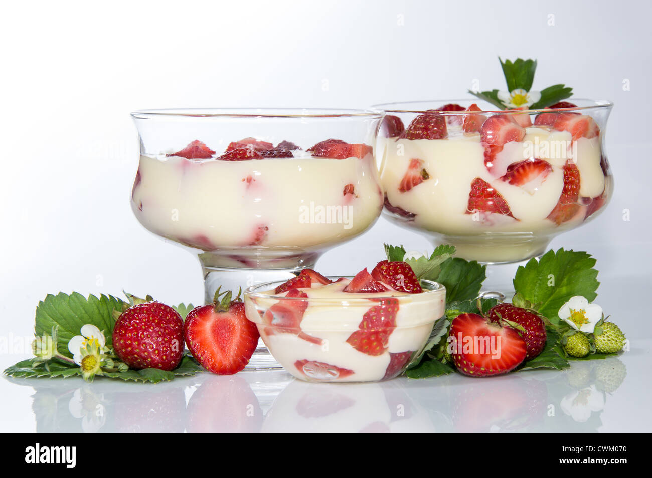 Pudding in Bowls on grey and white background Stock Photo - Alamy