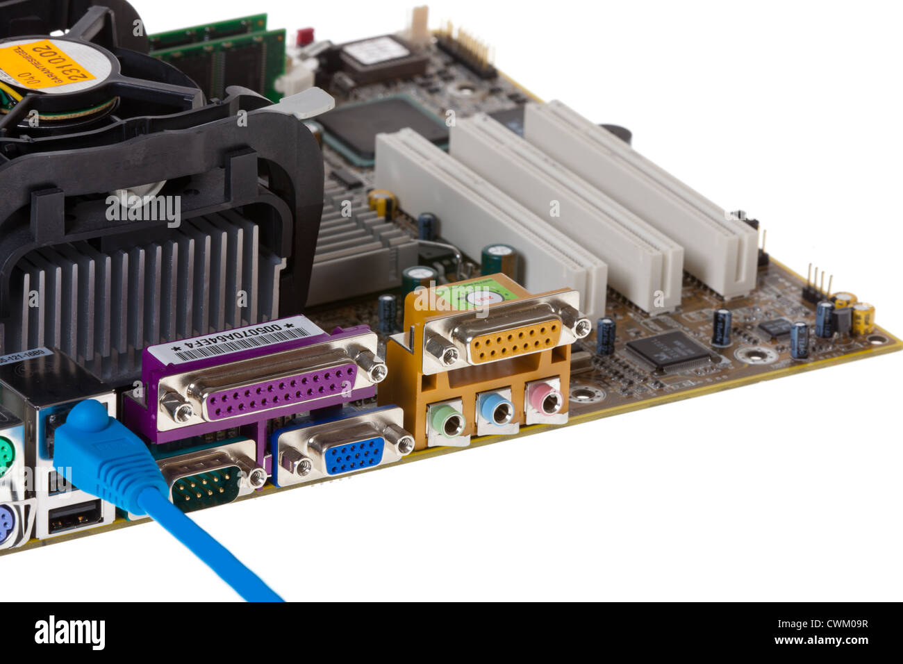 Blue network cable plugged into the socket a motherboard isolated on ...