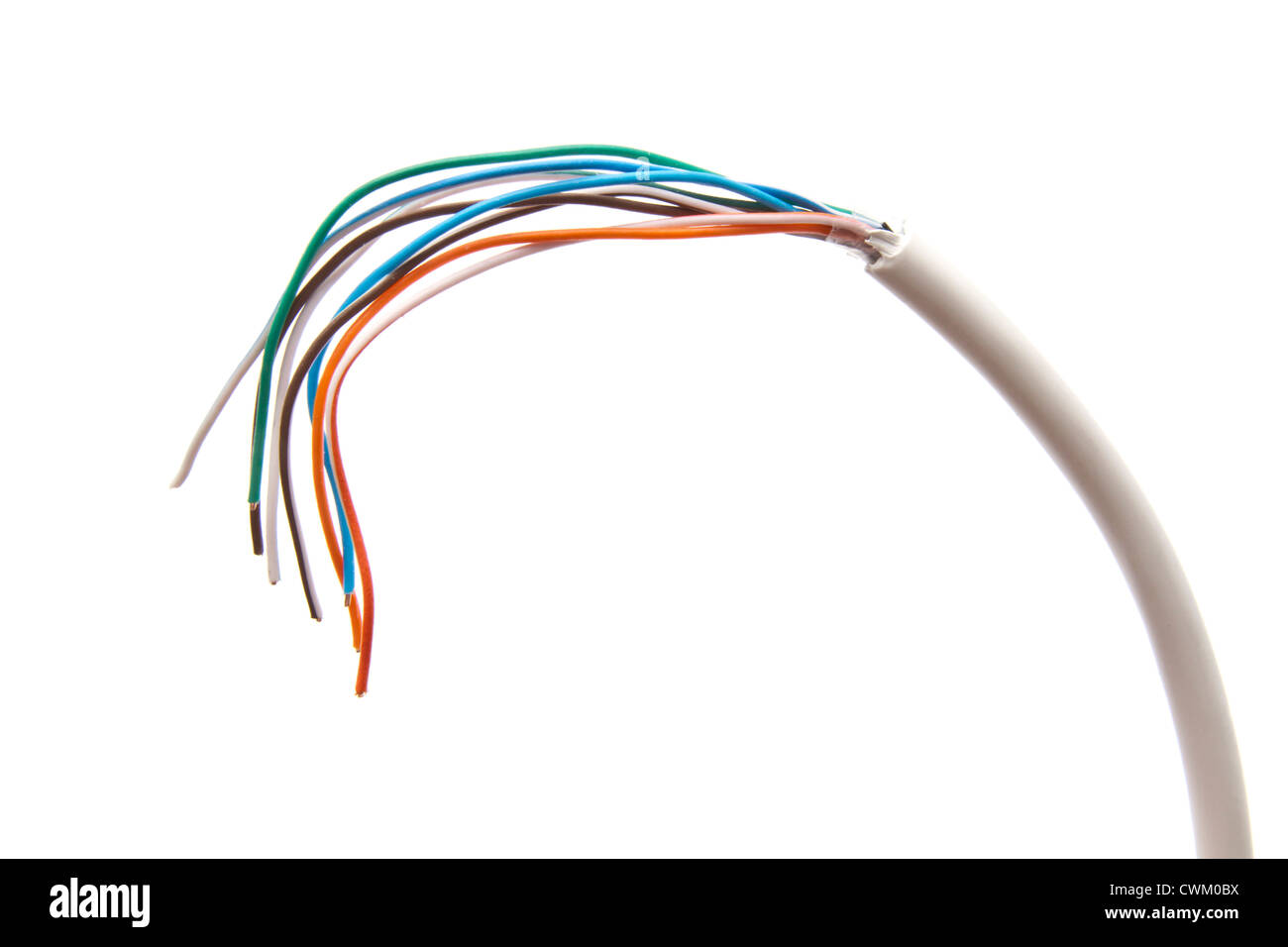 Colorful cable closeup on white background Stock Photo - Alamy