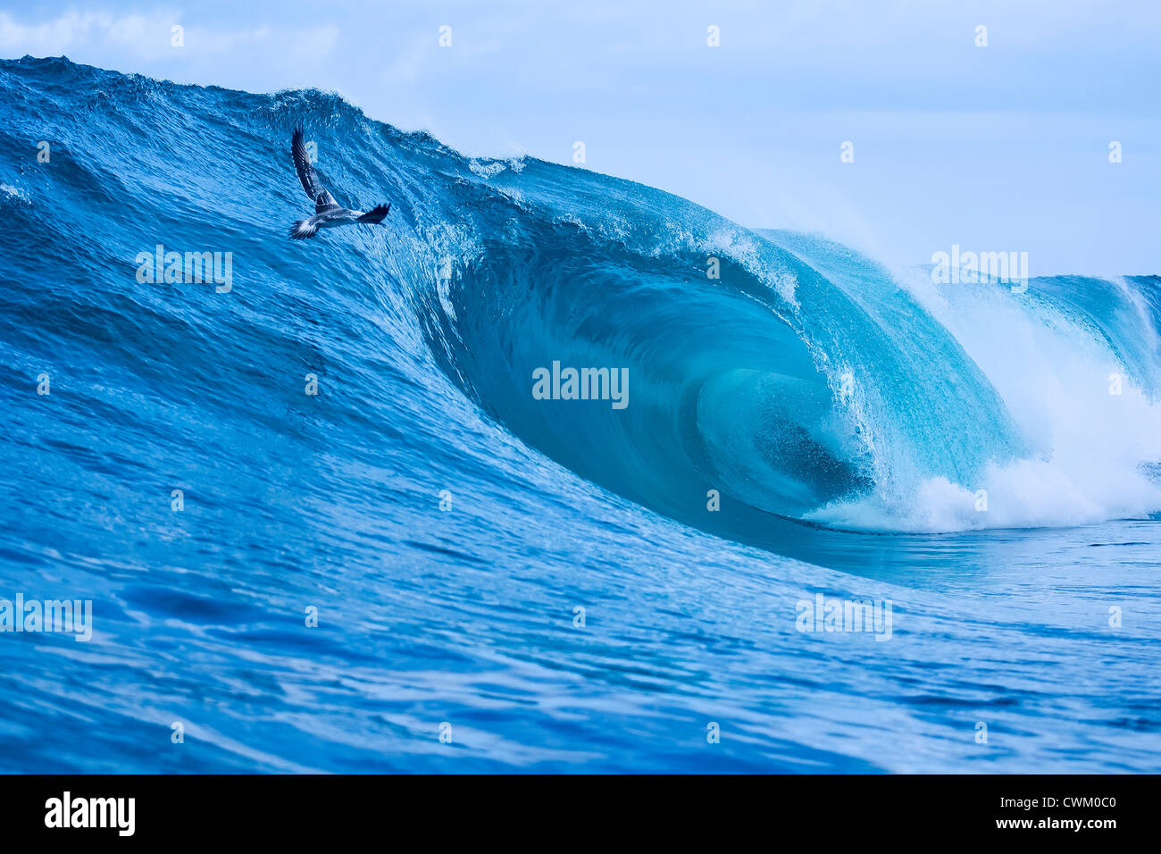Waves crashing hi-res stock photography and images - Alamy