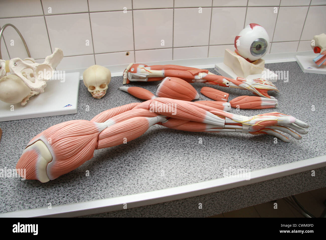 Instructional study hi-res stock photography and images - Alamy