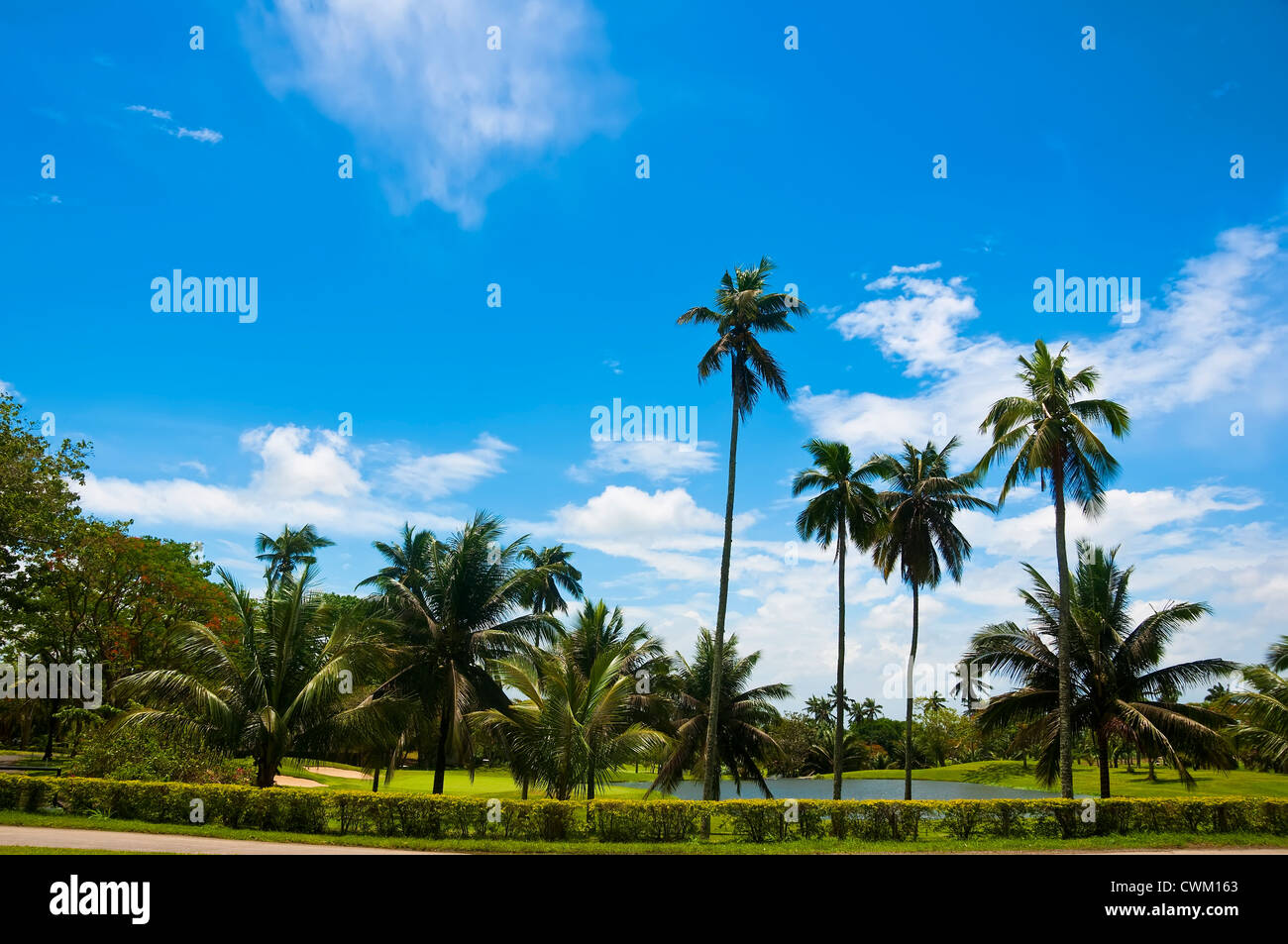 A beautiful golf course in the Philippines Stock Photo - Alamy