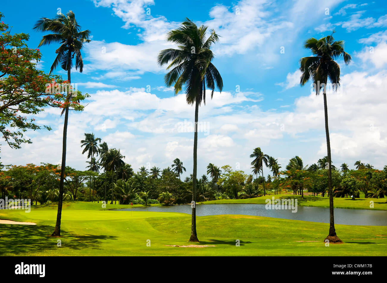 A beautiful golf course in the Philippines Stock Photo - Alamy