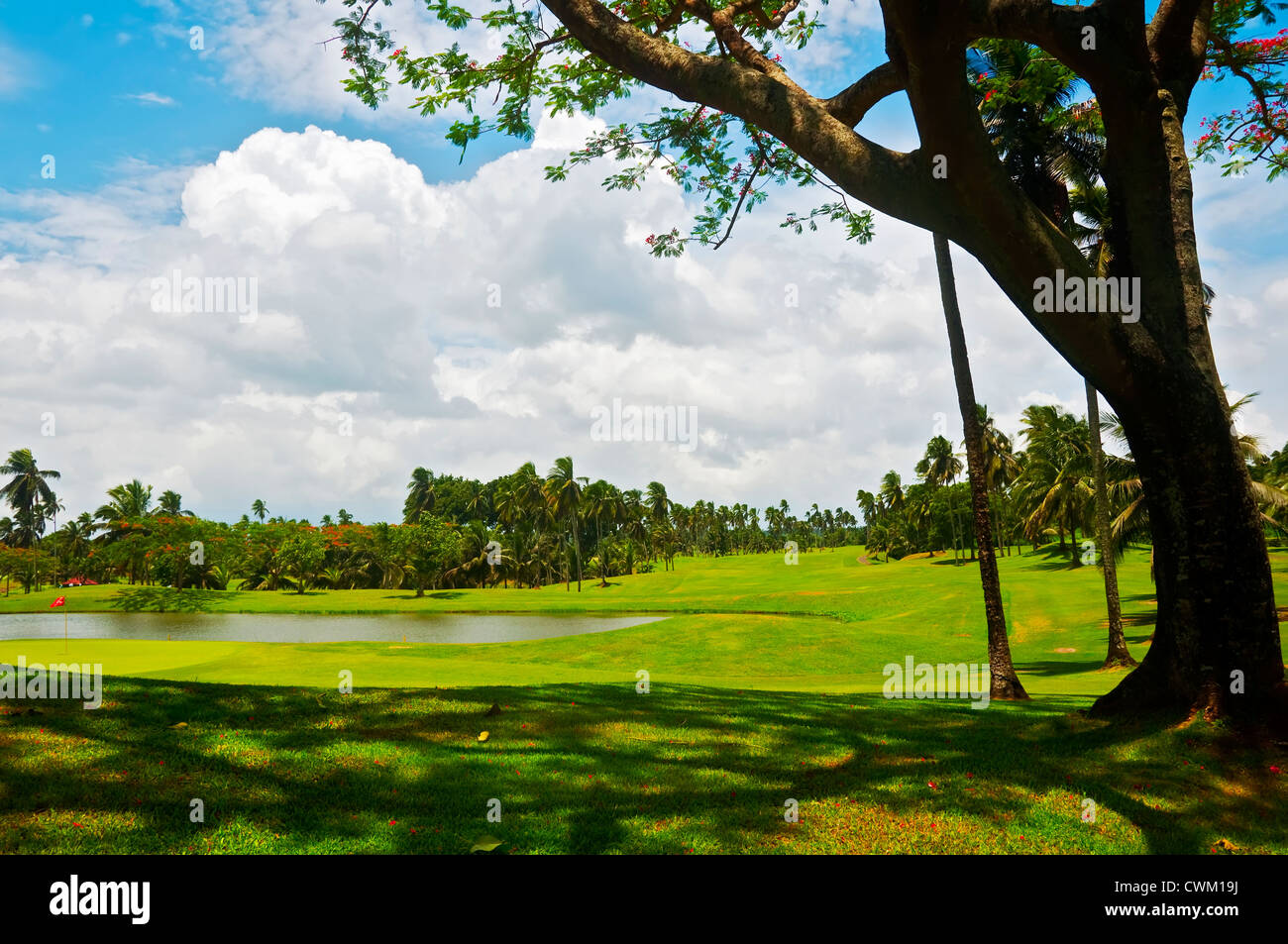 A beautiful golf course in the Philippines Stock Photo - Alamy