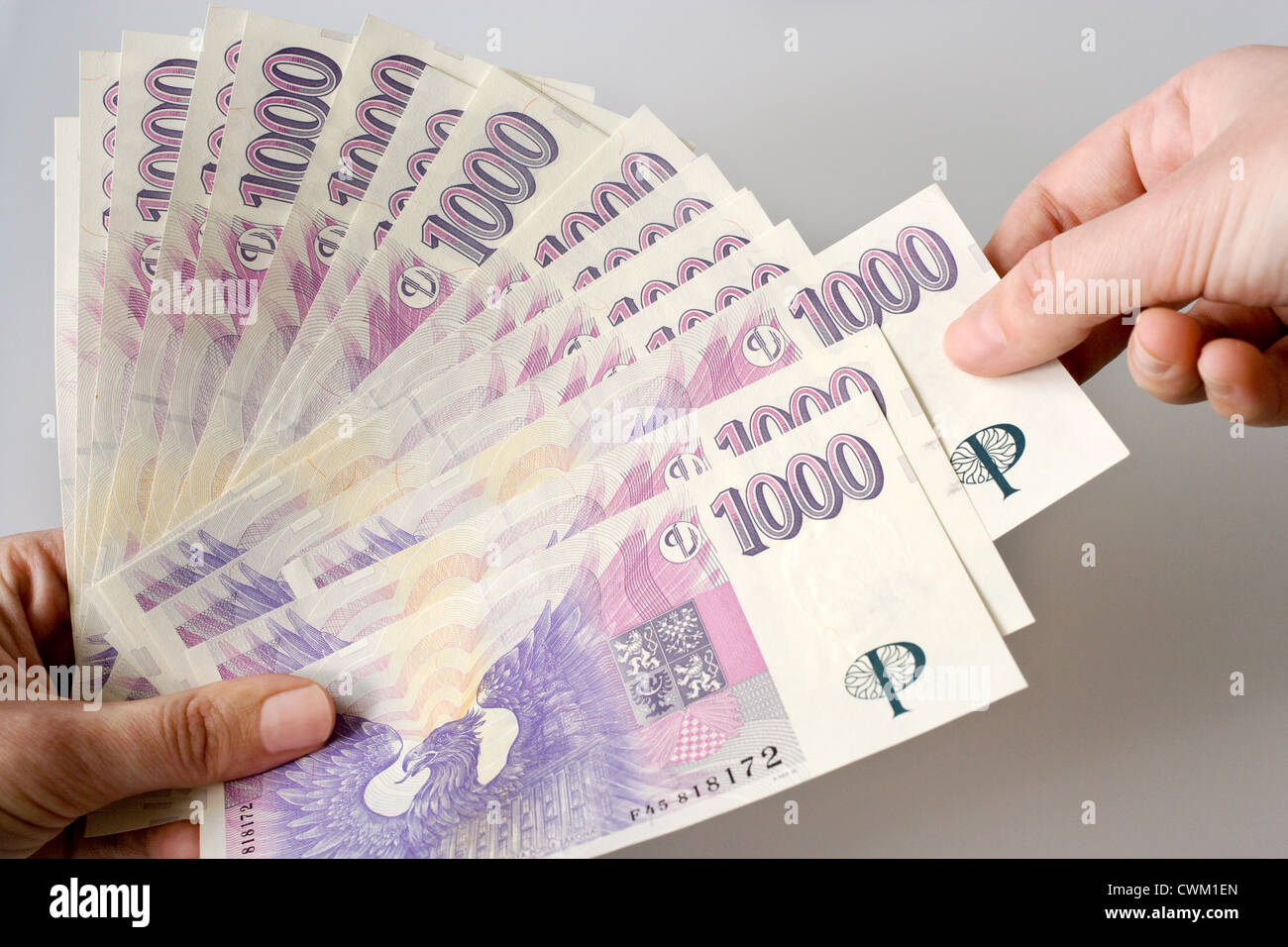 Czech money in a hand - banknotes Stock Photo - Alamy
