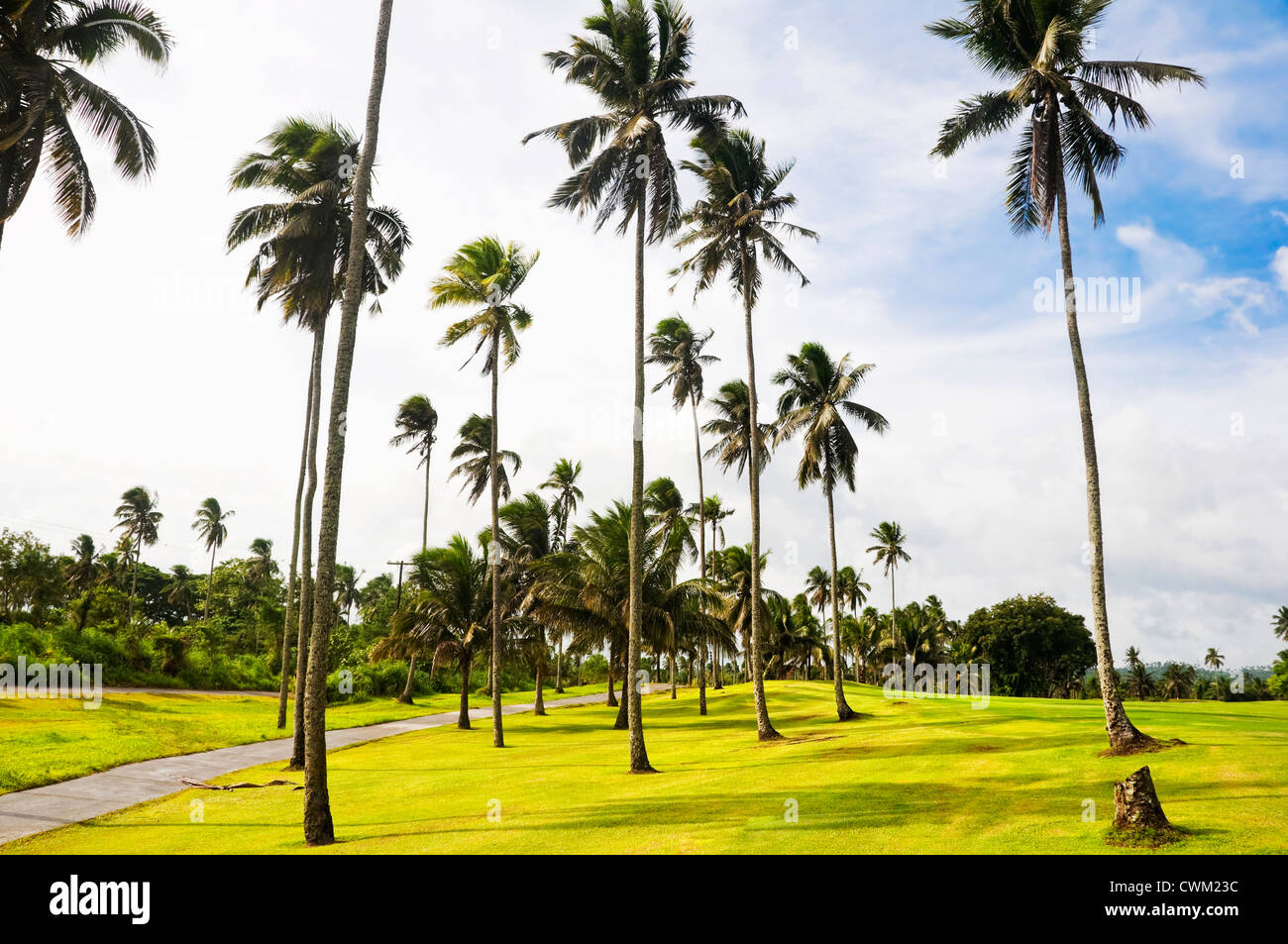A beautiful golf course in the Philippines Stock Photo - Alamy