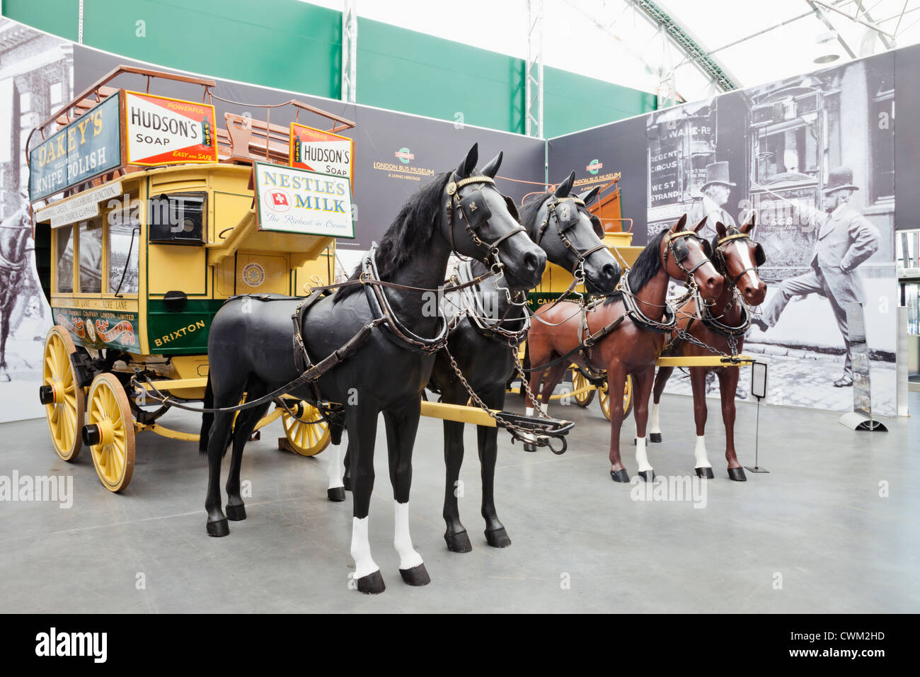 Bus buses horse horses hi-res stock photography and images - Alamy