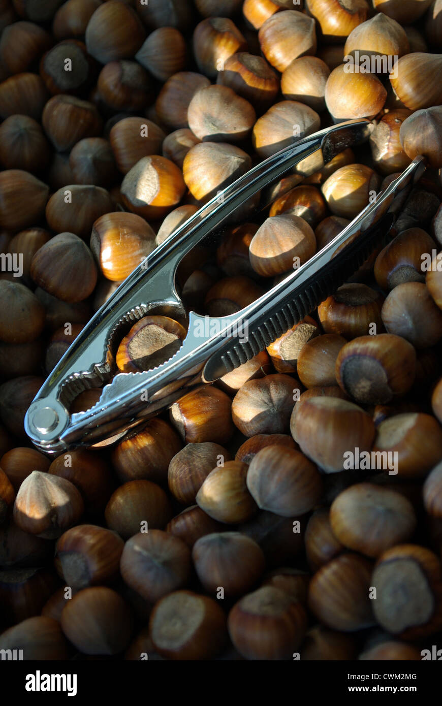 Hazelnuts with nutcracker Stock Photo - Alamy