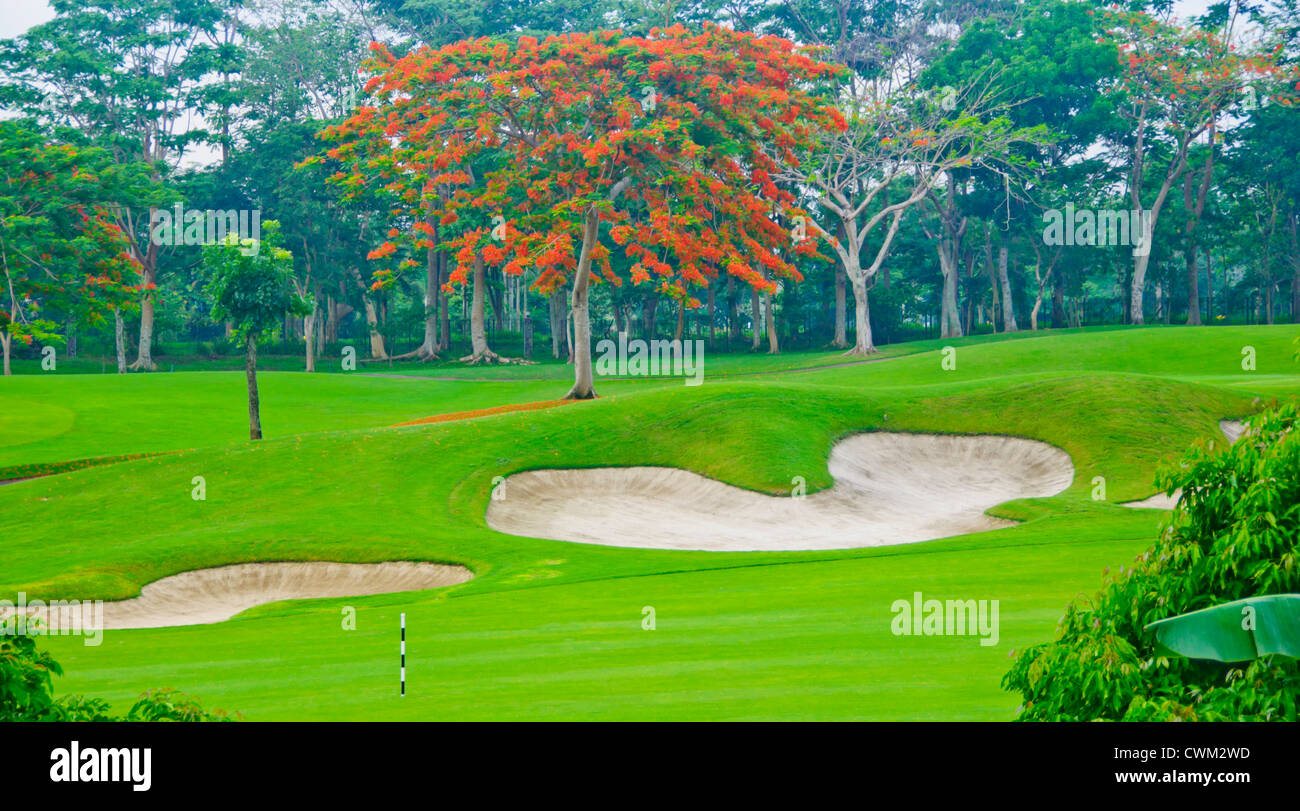 A beautiful golf course in the Philippines Stock Photo - Alamy